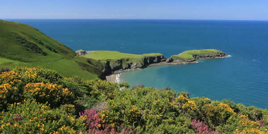 Suggested Family Days Out in Pembrokeshire and Ceredigion